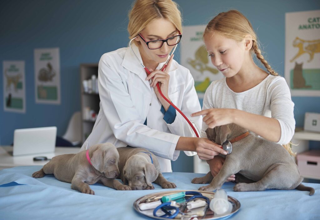 Pet Doctor Consultations In Mauldin SC | Mauldin Station Vet