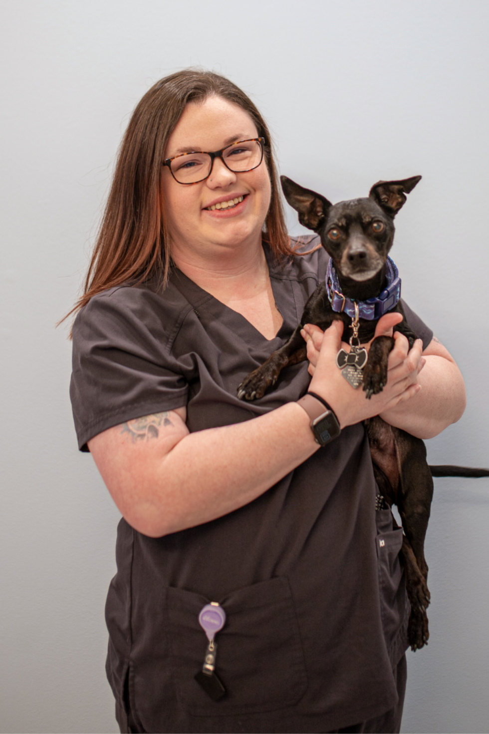 Veterinarian In Mauldin, SC 29662 | Mauldin Station Vet